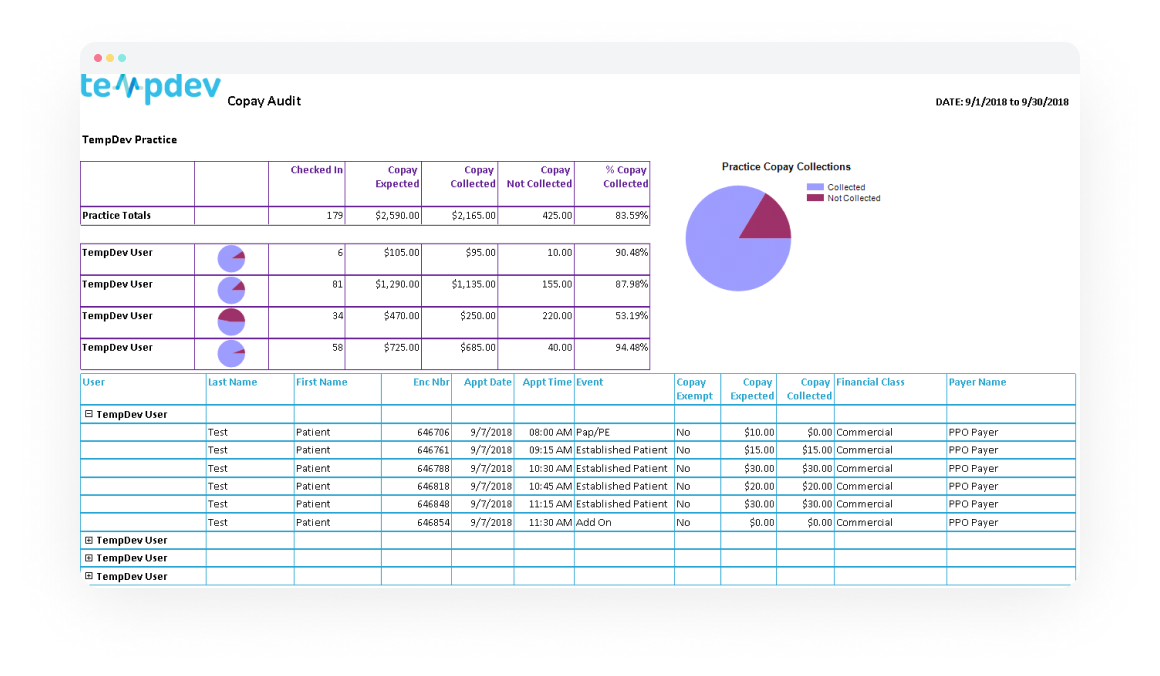 Copay Audit - TempDev